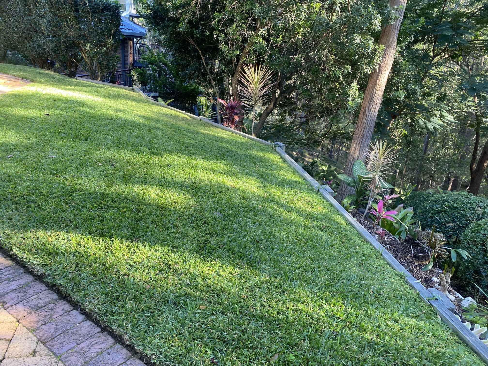 Brisbane Lawn & Landscaping Experts | Gallery